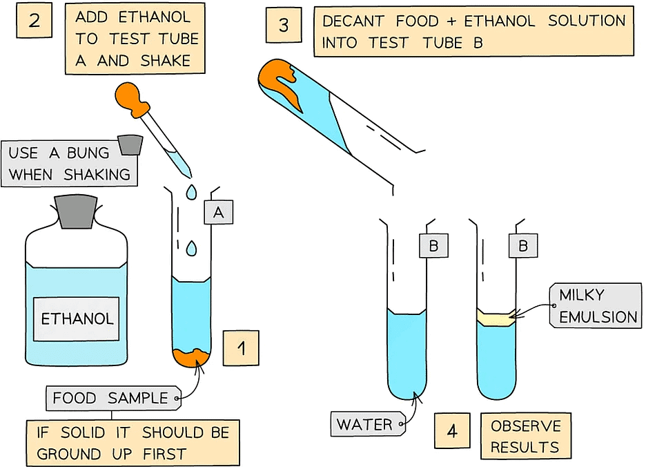 Lipids - Biology for Grade 12 PDF Download