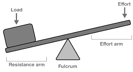What are Simple Machines? - Physics for EmSAT Achieve PDF Download