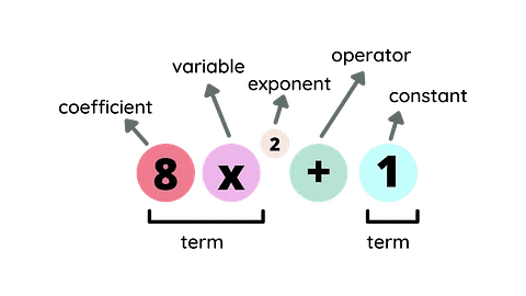 Important Definitions and Formulas: Polynomials - Mathematics (Maths ...