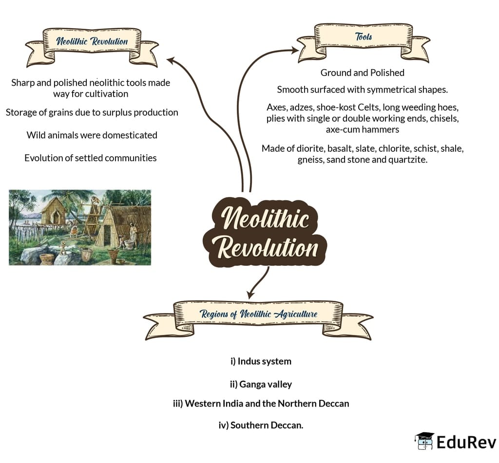 Mind Map: Neolithic Age - UPSC PDF Download