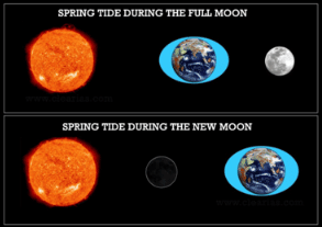 Movements of ocean water: Waves, Tides and Ocean Currents - UPSC PDF ...