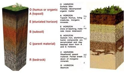 Introduction Soil - UPSC PDF Download