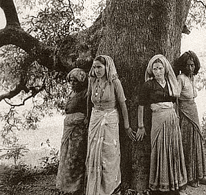Shankar IAS Summary: Indian Forest - Famous Books for UPSC Exam ...