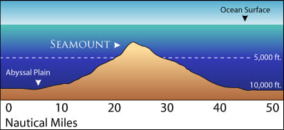 Ocean Relief Features - IBPS PO Prelims and Mains Preparation - Bank ...