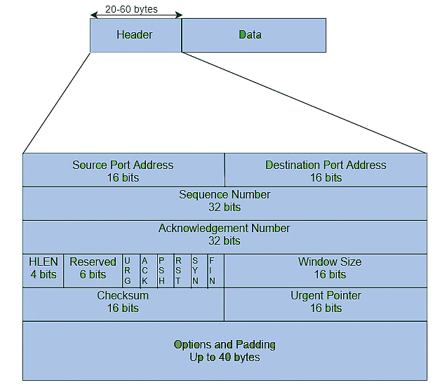 Services And Segment Structure In Tcp Computer Networks Computer Science Engineering Cse 0242