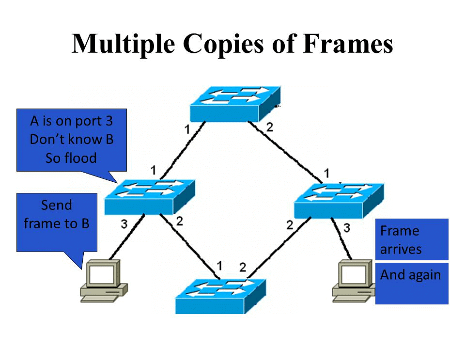 Redundant Link Problems Computer Networks Computer Science Engineering Cse Pdf Download