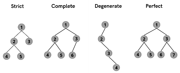 Strictly Binary Tree Programming And Data Structures Computer 6495