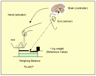 A Brief Review of Feedback Control Systems - Electrical Engineering (EE ...