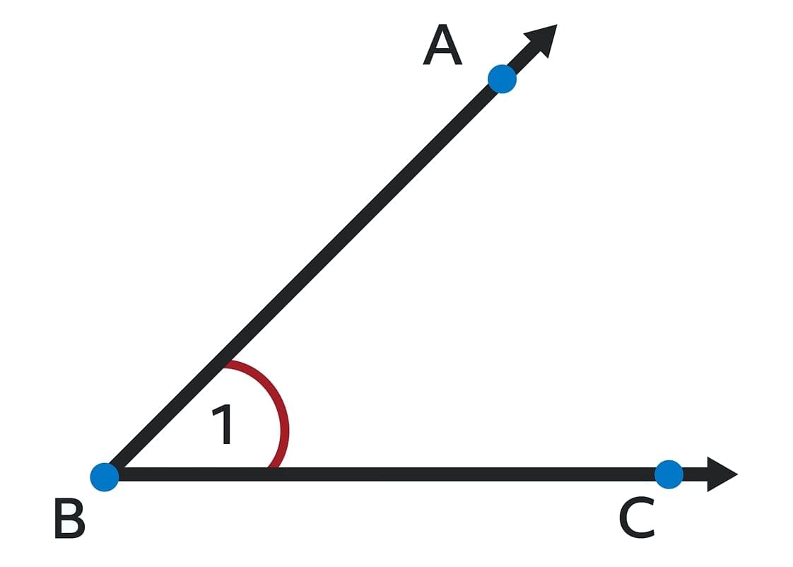 Lines and Angles Class 7 Notes Maths Chapter 6 Free PDF