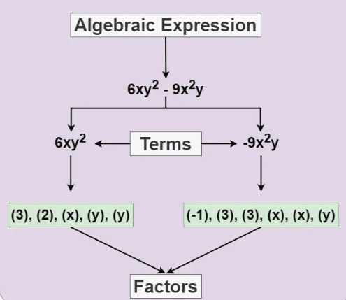 Algebraic Expressions Class 7 Notes Maths Chapter 10 Free PDF