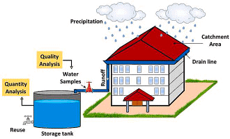 NCERT Solutions for Class 10 Science - Management of Natural Resources