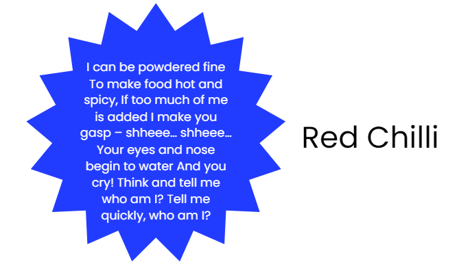 Spicy Riddles Class 4 Notes EVS Chapter 25 Free PDF