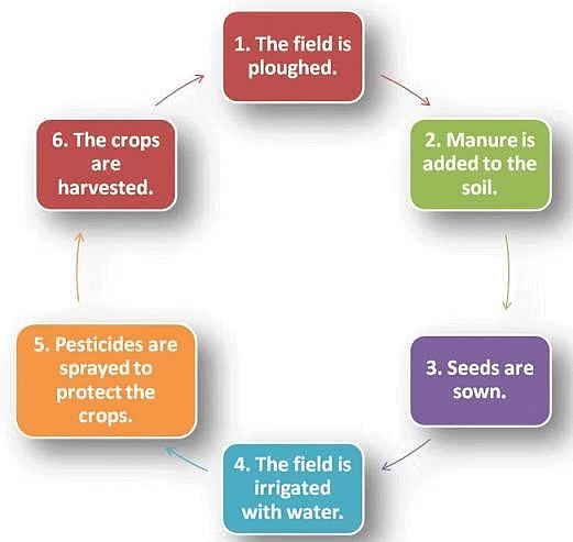 Plant Life Chapter Notes - Science Class 5 PDF Download