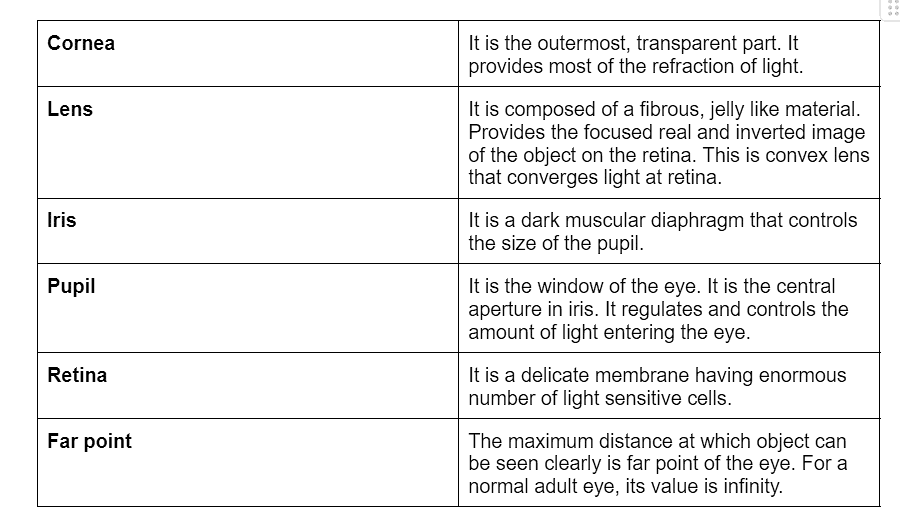 Human Eye and Colourful World Class 10 Notes Science Chapter 10 Free PDF