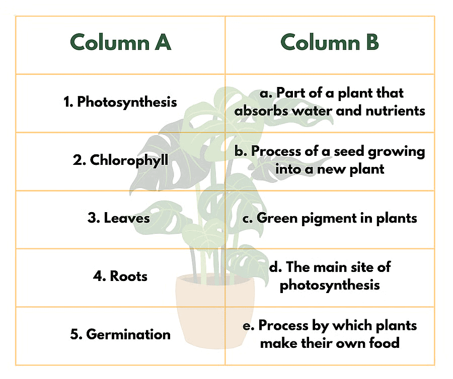 Plant Life - 1 Class 5 Worksheet Science