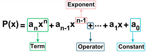 Polynomials Class 9 Notes Maths Chapter 2 Free PDF