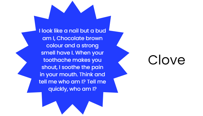 Spicy Riddles Class 4 Notes EVS Chapter 25 Free PDF