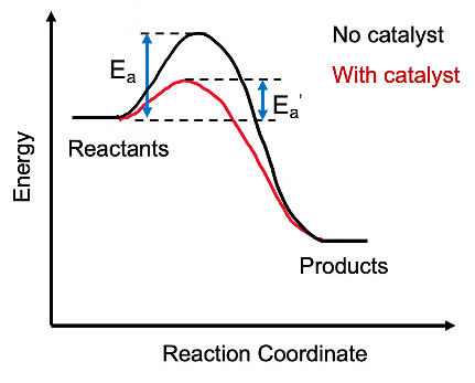 Class 10 Science Chapter 1 Question Answers - Chemical Reactions and ...