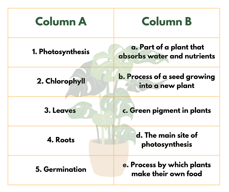 Plant Life - 1 Class 5 Worksheet Science