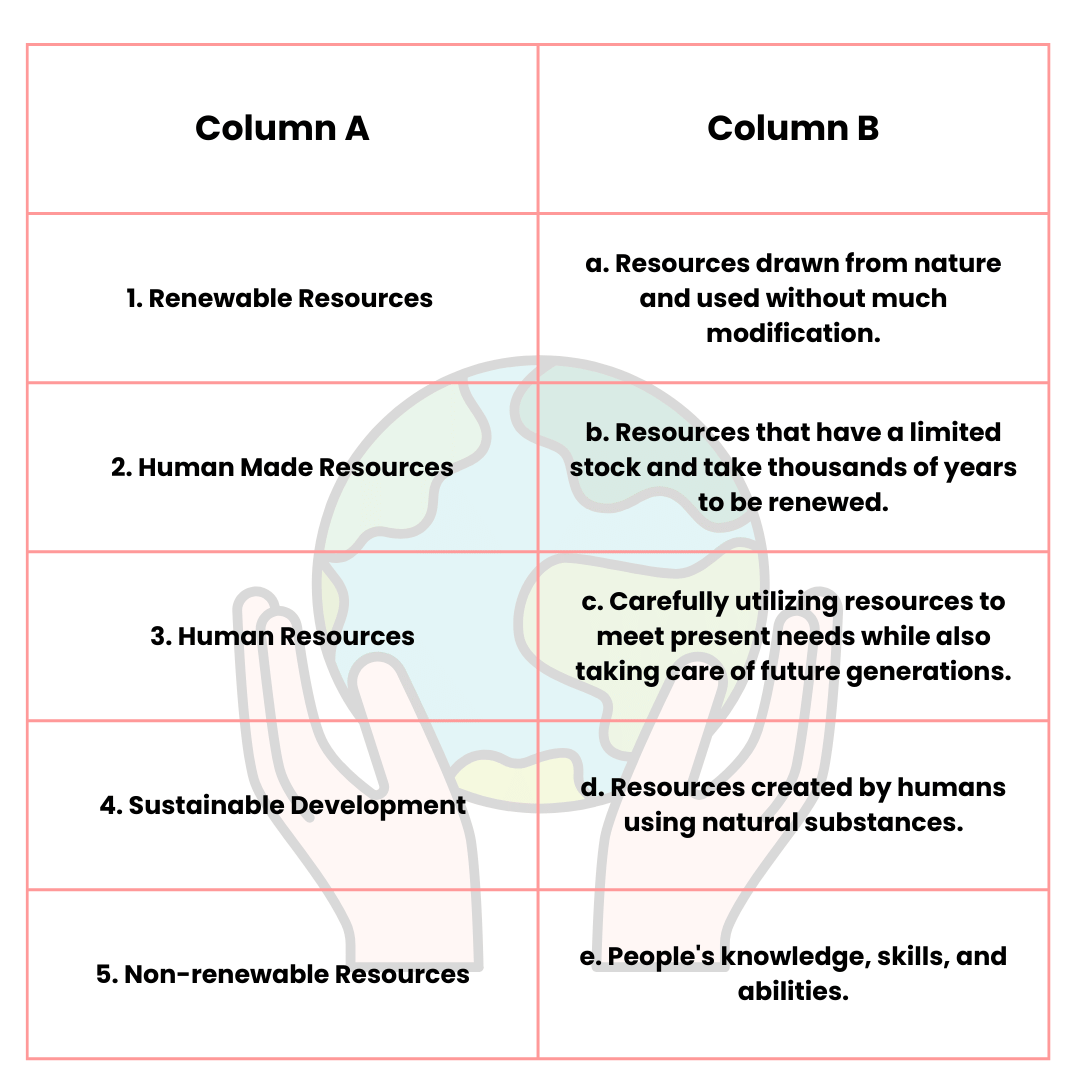 Resources Class 8 Worksheet Geography Chapter 1