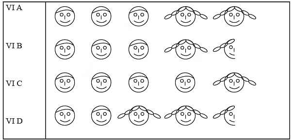 Data Handling Class 6 Worksheet Maths Chapter 4