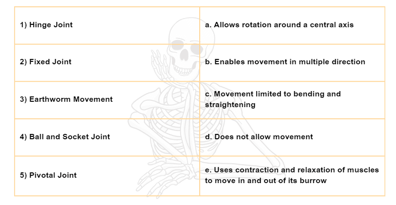 Body Movements Class 6 Worksheet Science