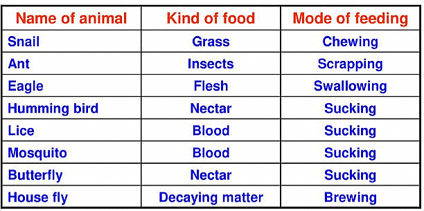 Class 6 Science Chapter 2 Question Answers - Nutrition in Animals