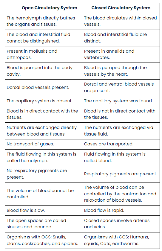 Body Fluids and Circulation Chapter Notes - Biology Class 11 - NEET PDF ...