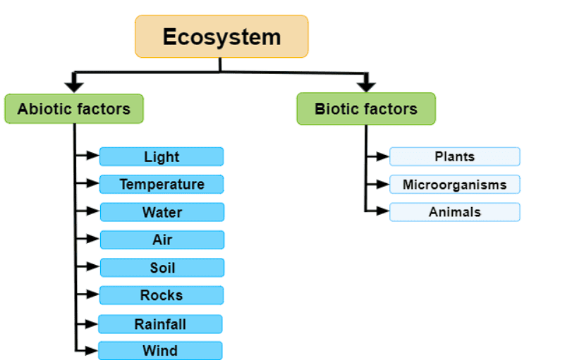 NCERT Exemplar: Our Environment - Science Class 10 PDF Download
