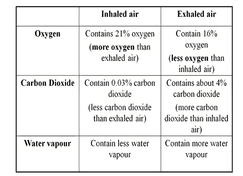 Respiration in Organisms Class 7 Notes Science Chapter 6 Free PDF