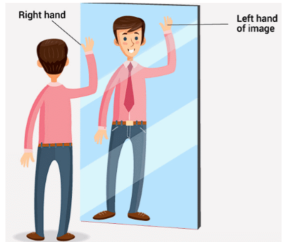 Light Class 7 Notes Science Chapter 13 Free PDF