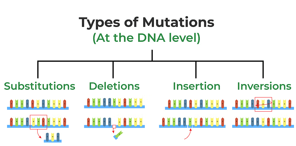 Sex Determination and Mutation - Biology Class 12 - NEET PDF Download