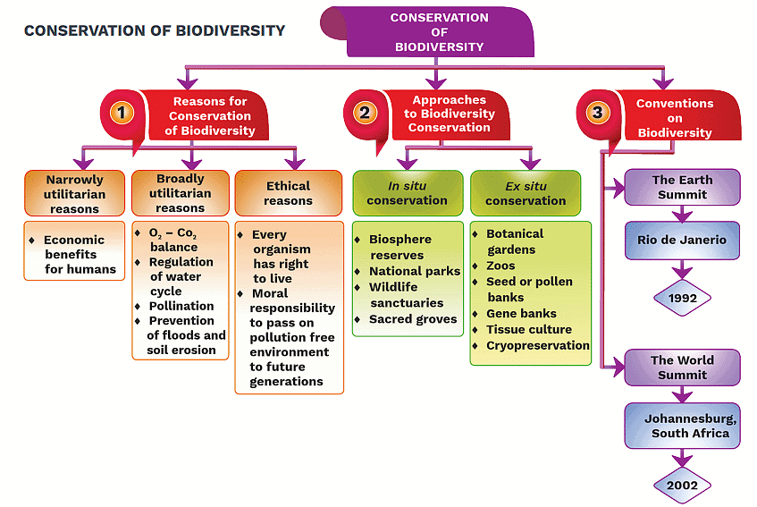 Biodiversity and Conservation Chapter Notes - NEET PDF Download