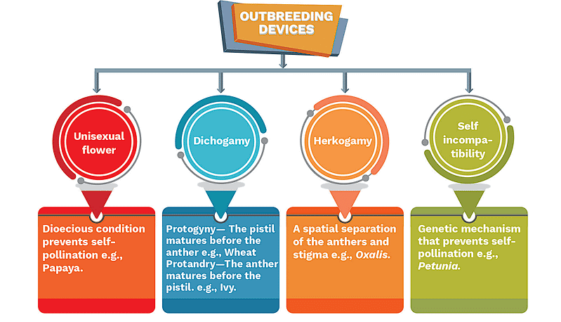Pollination and Outbreeding Devices - Biology Class 12 - NEET PDF Download
