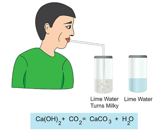 Class 7 Science Chapter 5 HOTS Questions - Physical and Chemical Changes
