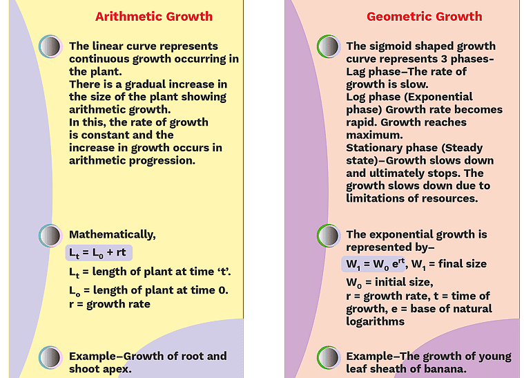 Growth and Its Phases - Biology Class 11 - NEET PDF Download