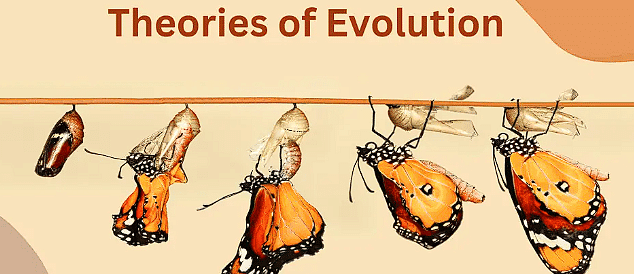 Evolution Chapter Notes - NEET PDF Download