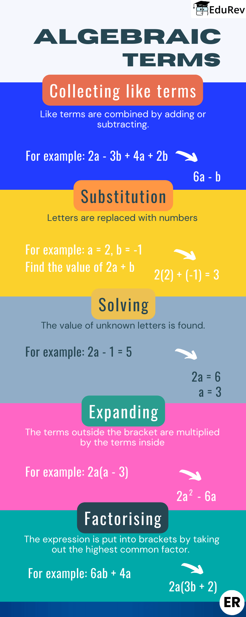 Infographics: Algebraic Terms - Mathematics (Maths) Class 9 PDF Download