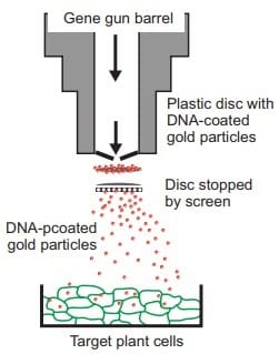 Genetic Engineering Technique: Gene Transfer - Science and Technology ...