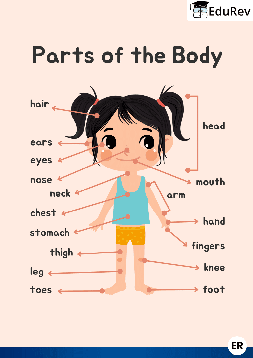 Printable Poster: Parts of the Body- Girls - EVS for Class 1 PDF Download