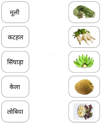 Worksheet: सब्जि के नाम - Hindi for LKG PDF Download