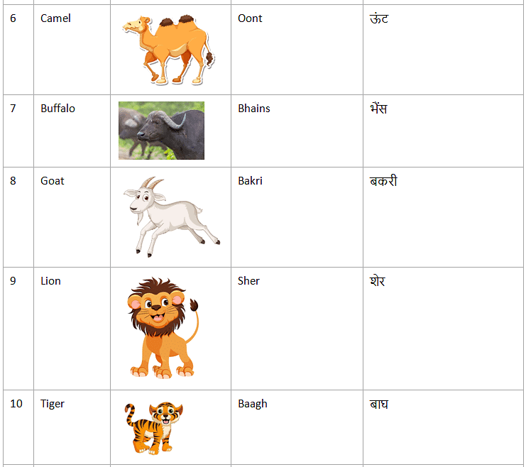 जानवरों के नाम (Animal Names in Hindi) - Hindi for UKG PDF Download