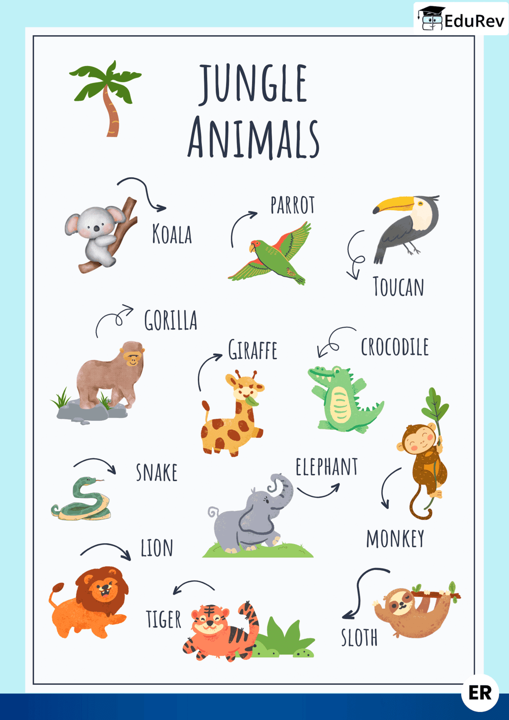 Let's Learn: Jungle Animals - English for LKG PDF Download