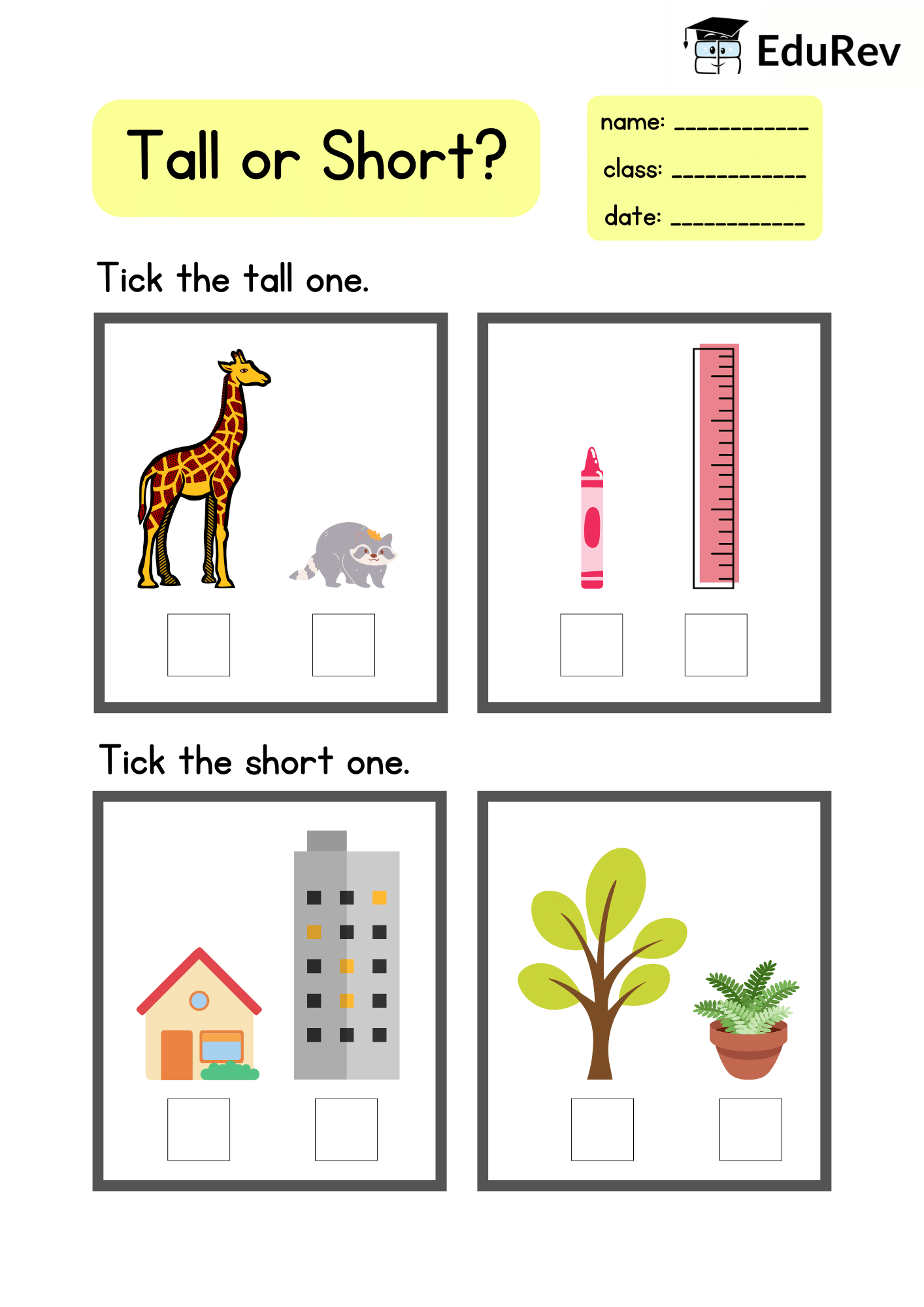 Printable Worksheet: Tall or Short - Maths for LKG PDF Download