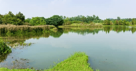 Water Resources Class 4 Notes SST Free PDF