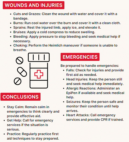 Safety and First Aid Class 4 Notes Science Free PDF