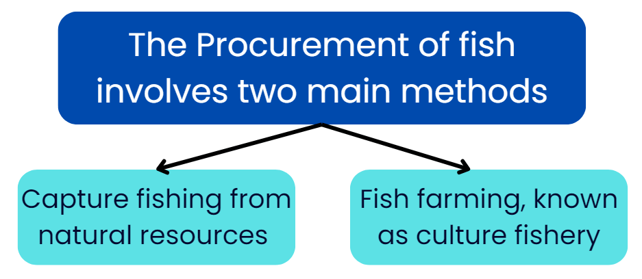 Improvement in Food Resources Class 9 Notes Science Chapter 12 Free PDF