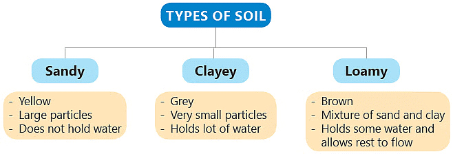 Soil Class 3 Notes Science Free PDF