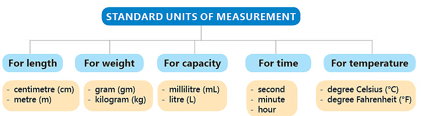 Measurement Class 3 Notes Science Free PDF