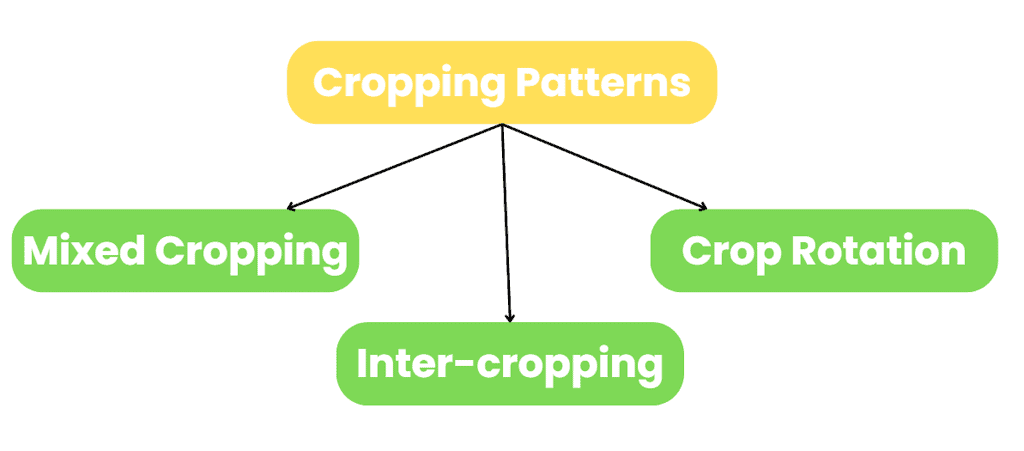 Improvement in Food Resources Class 9 Notes Science Chapter 12 Free PDF